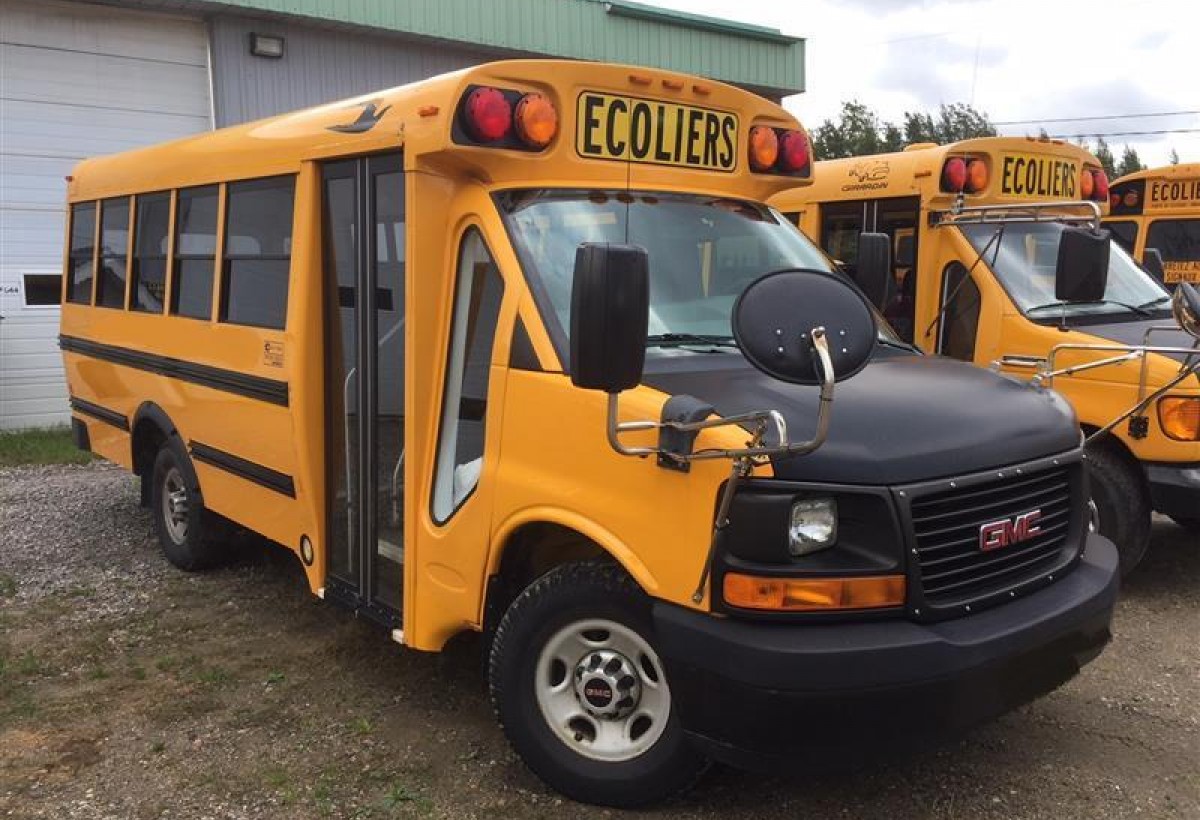 Micro Bird MB II 2013 - Girardin Blue Bird