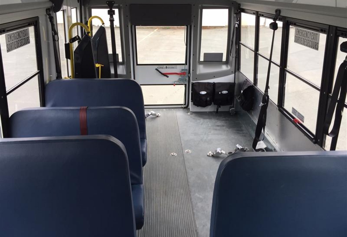 2016 MICRO BIRD FORD G5 - Girardin Blue Bird