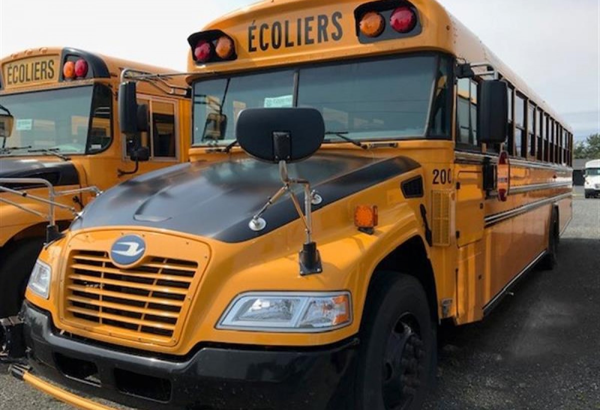 Blue Bird Vision 2017 - Girardin Blue Bird