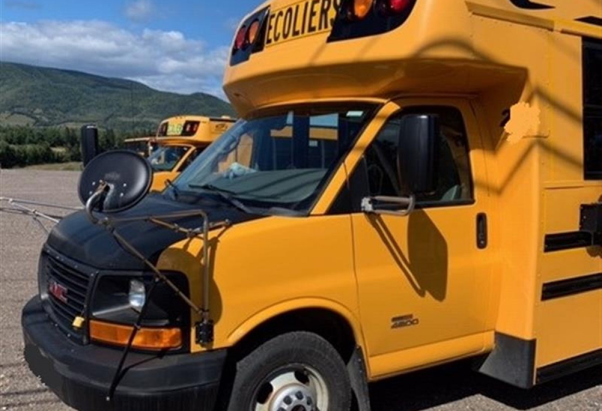 2011 Specialized Micro bird G5 - Girardin Blue Bird