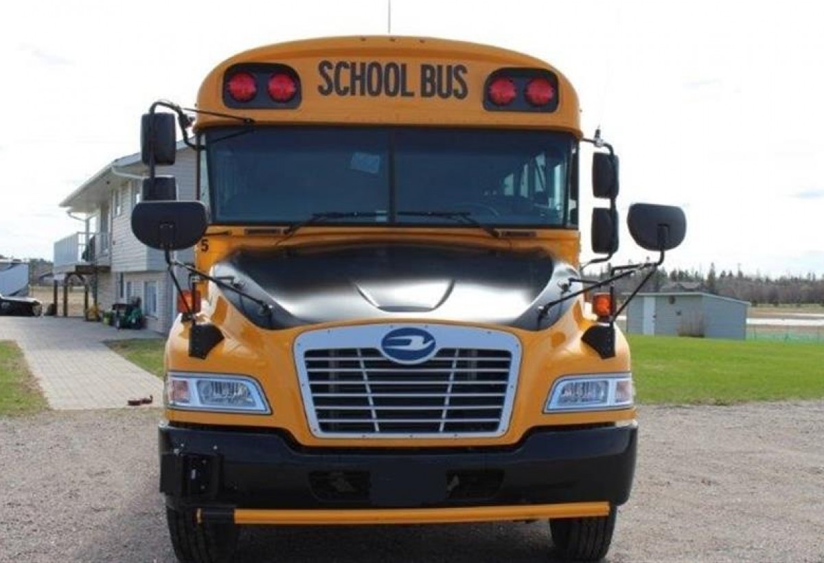 2019 D250 Blue Bird Vision - Girardin Blue Bird