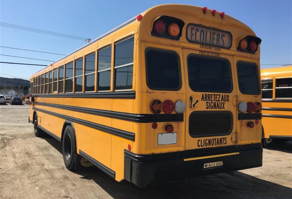 2009 TC 3000 Blue Bird - Girardin Blue Bird