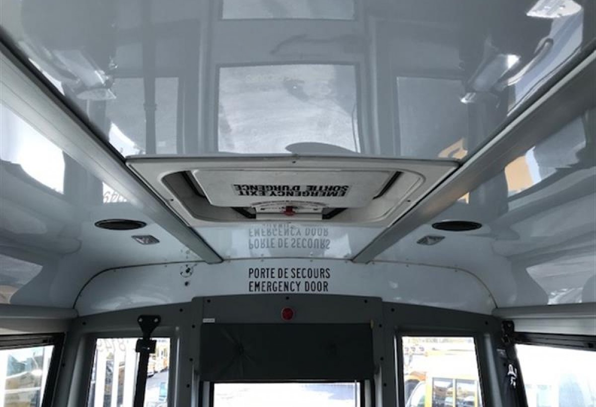 Micro Bird Commercial Adapté 2015 - Girardin Blue Bird