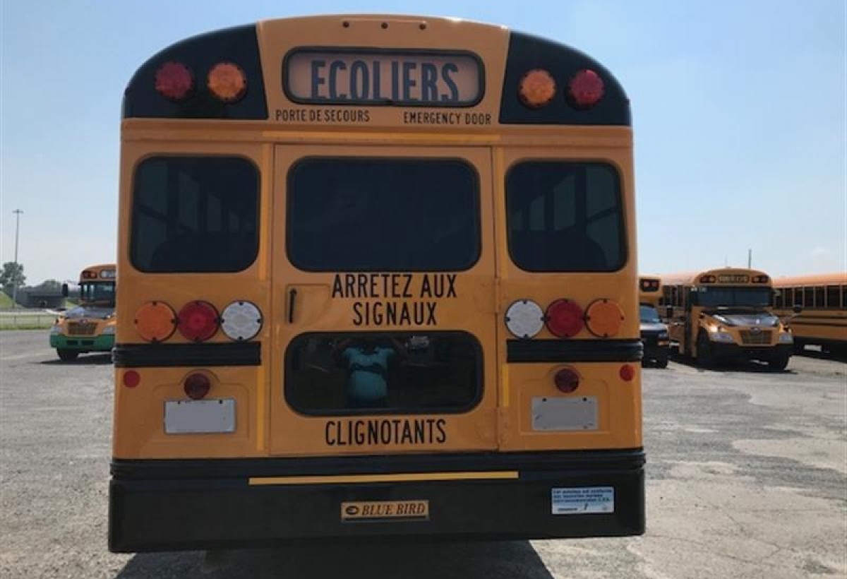2018 TX4 Blue Bird - Girardin Blue Bird