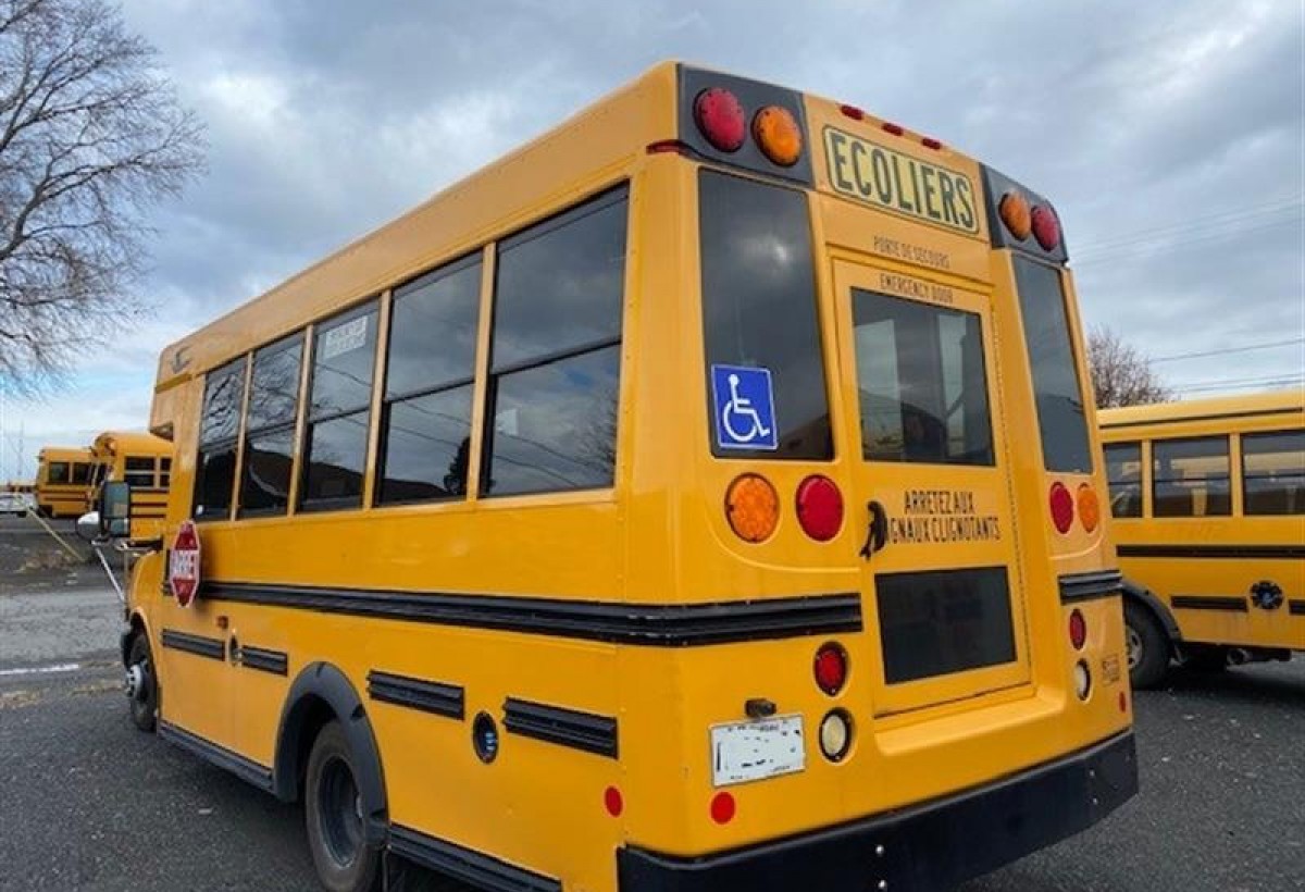 Minibus G5 Micro Bird GMC Adapté 2014 - Girardin Blue Bird