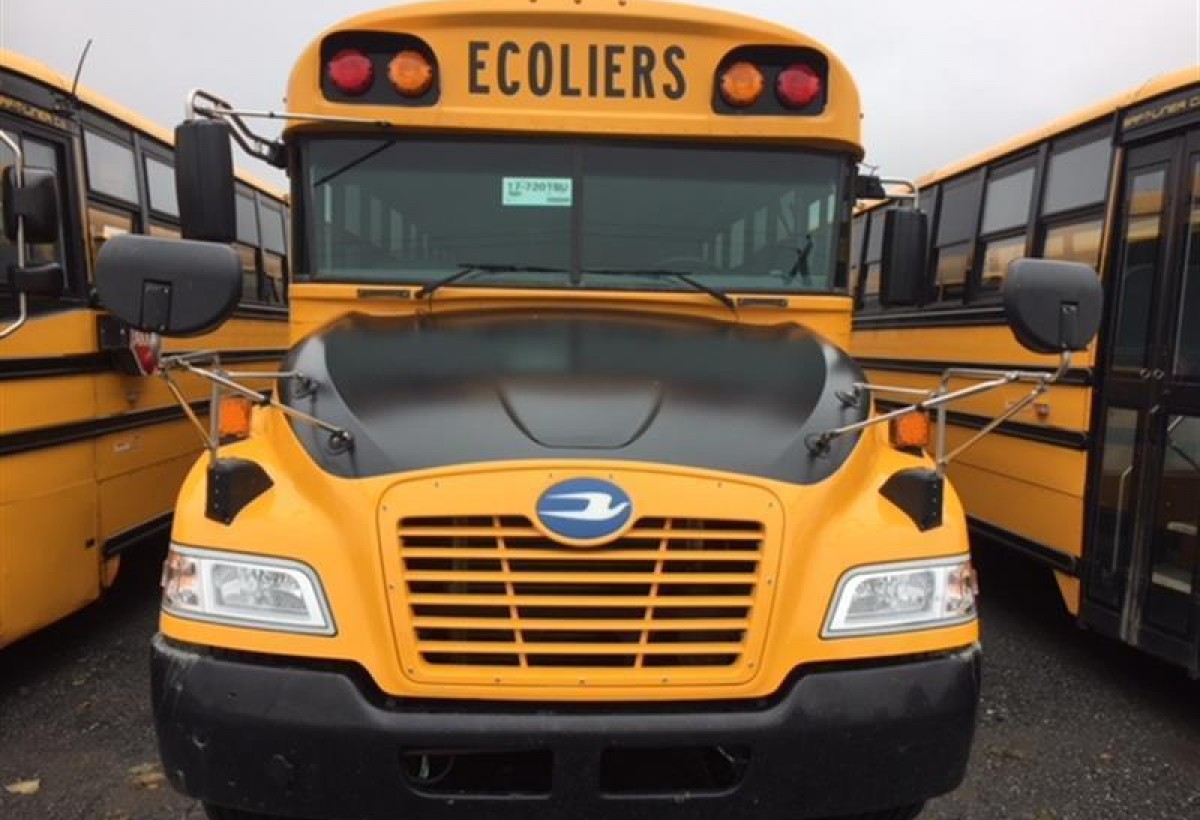 Blue Bird Vision 2017 - Girardin Blue Bird