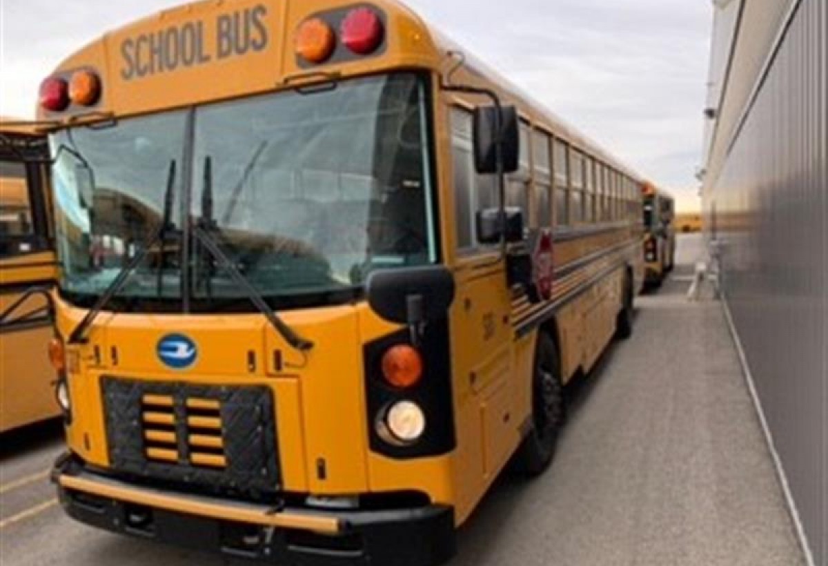 2015 TX4 Blue Bird - Girardin Blue Bird