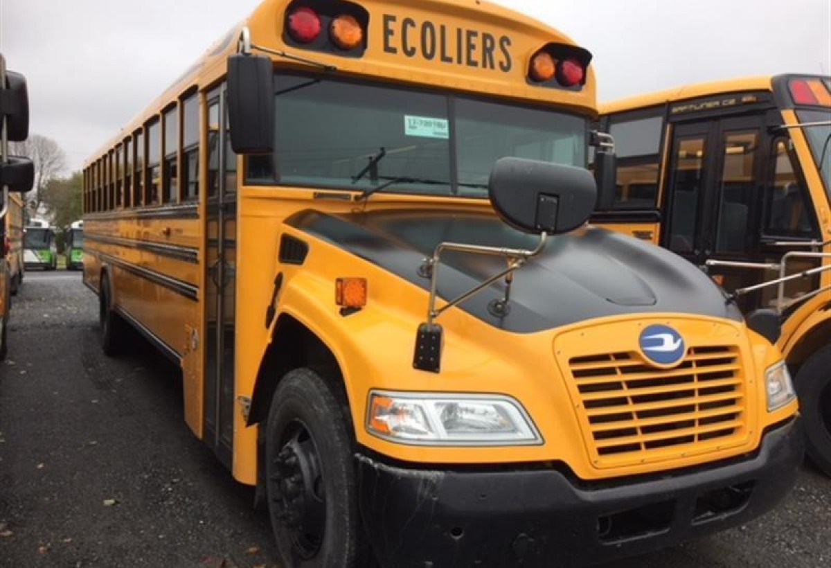 Blue Bird Vision 2017 - Girardin Blue Bird