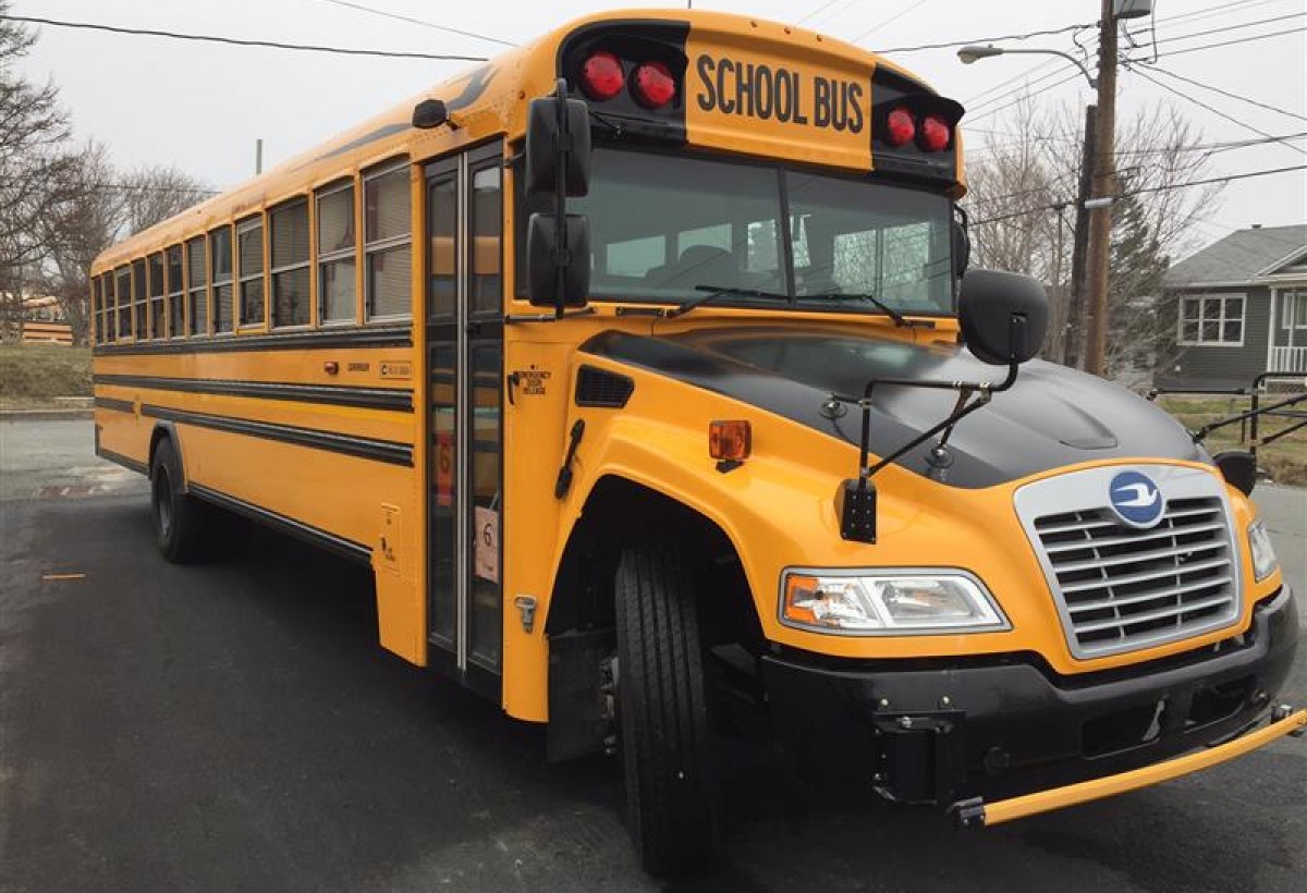 2017 BLUE BIRD VISION - Girardin Blue Bird