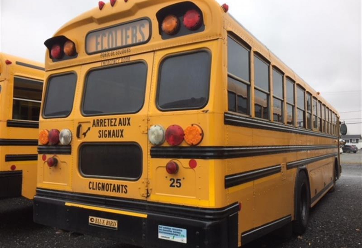 Blue Bird Vision 2017 - Girardin Blue Bird