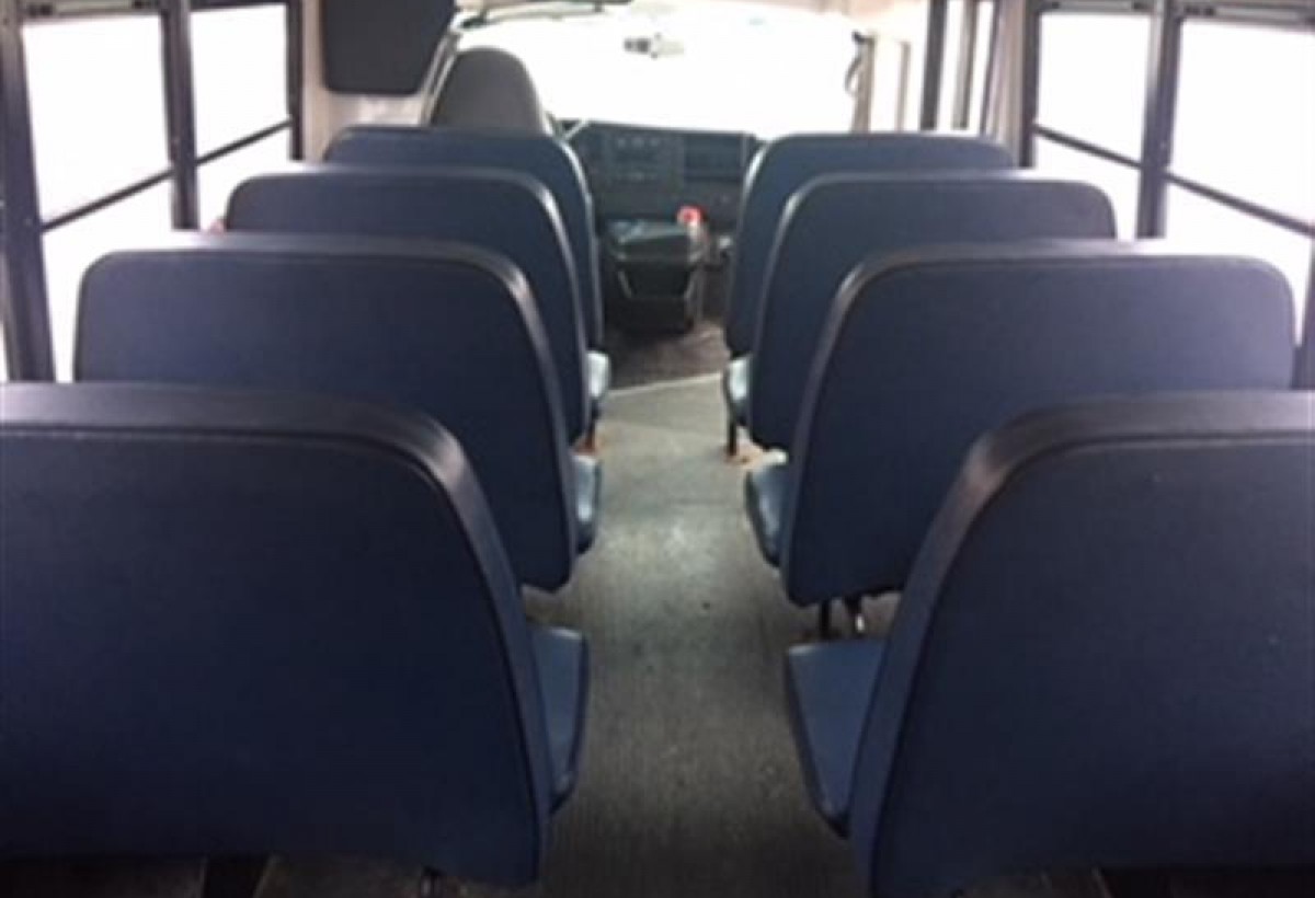 Micro Bird MB II 2013 - Girardin Blue Bird